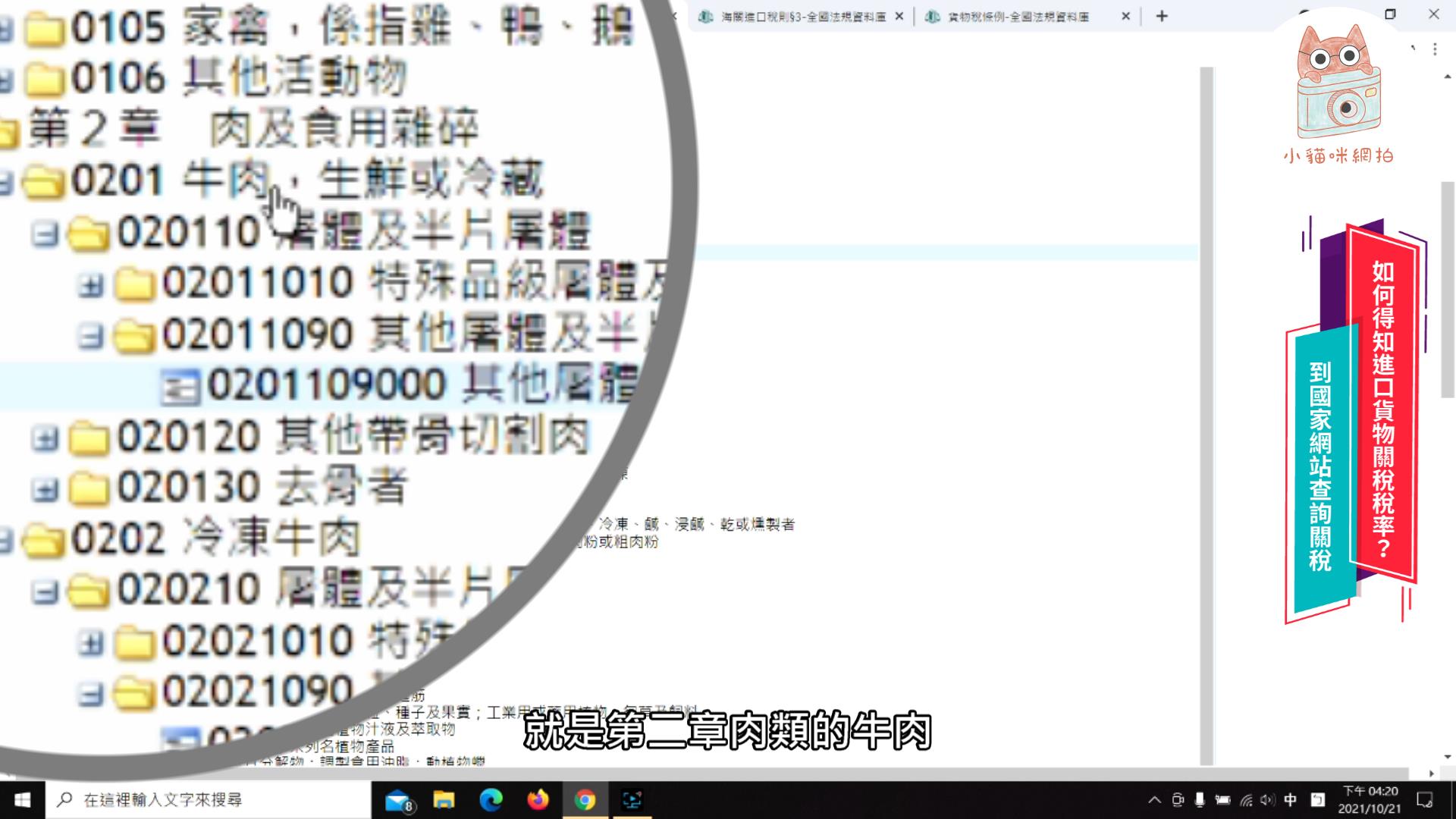 該如何查詢進口貨物稅則稅率？|談稅則CCC code - 小貓咪海運